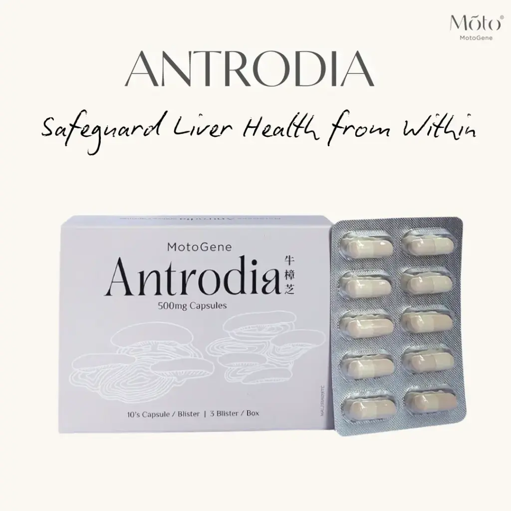 Antrodia Cinnamomea Mycelium 500mg Capsule | MOTOGENE GLOBAL